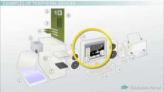 What Are Peripheral Devices of a Computer Definition, Examples & Types ...